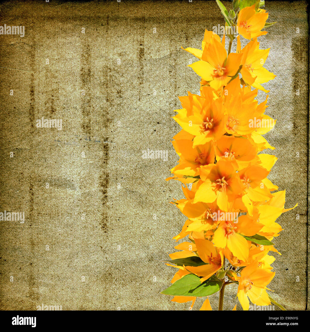 Vegetable science hi-res stock photography and images - Alamy