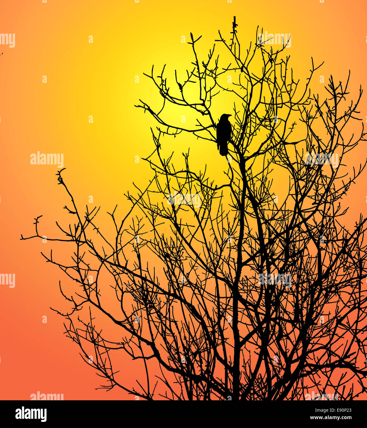 single bird on tree on background sun Stock Photo - Alamy