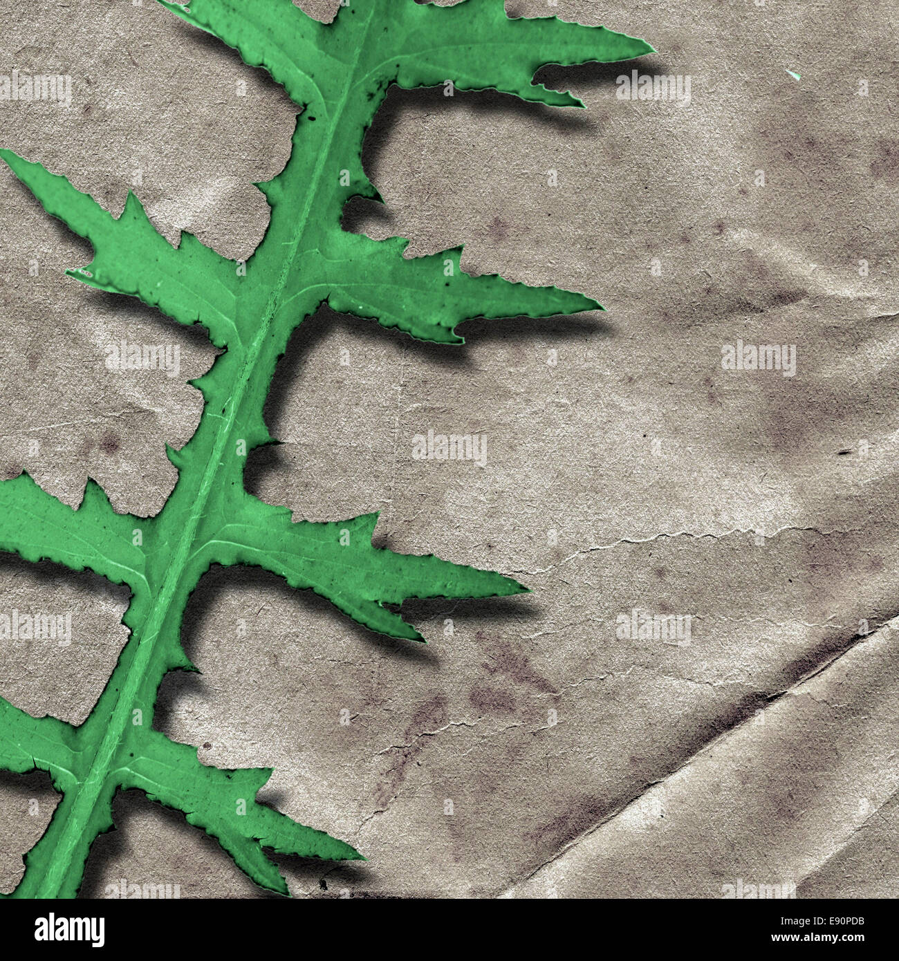 grunge vegetable background Stock Photo - Alamy