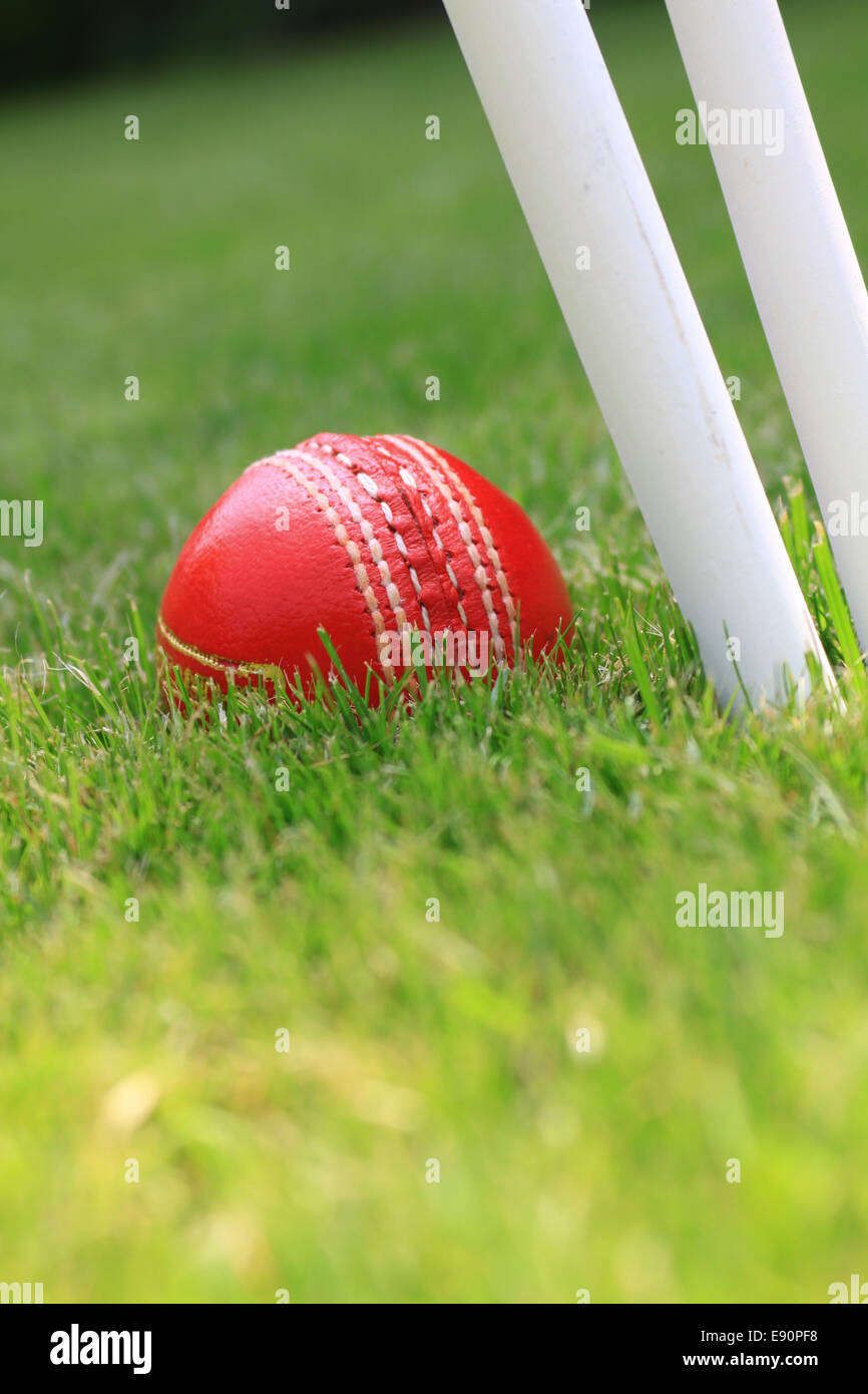 Red cricket ball stumps hi-res stock photography and images - Alamy