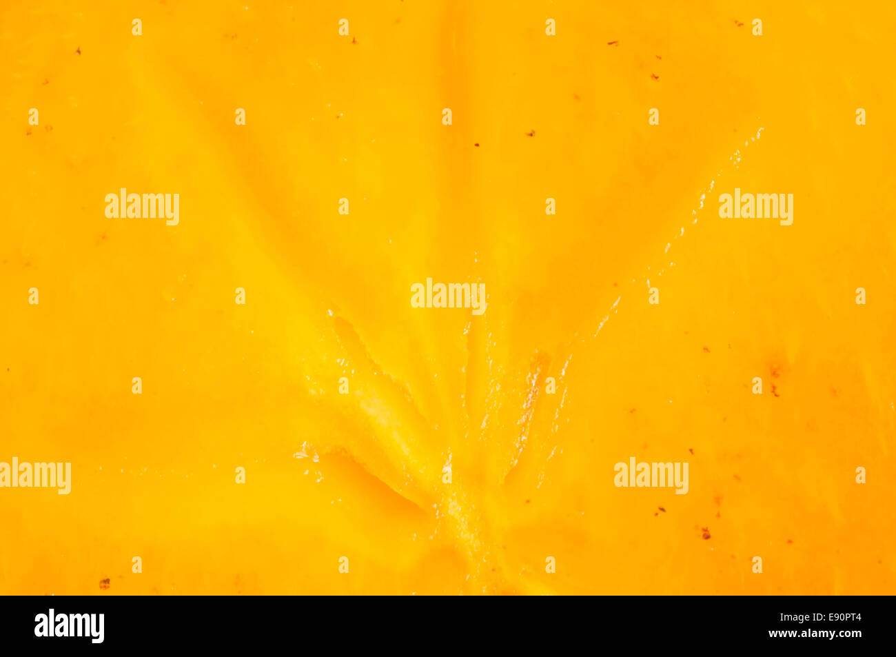 Half close hi-res stock photography and images - Alamy