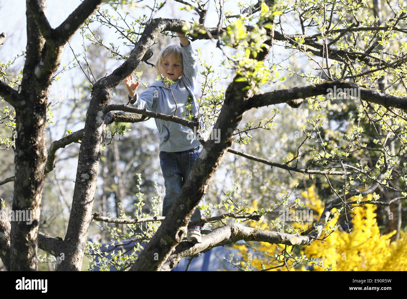 Apfelbaum child hi-res stock photography and images - Alamy