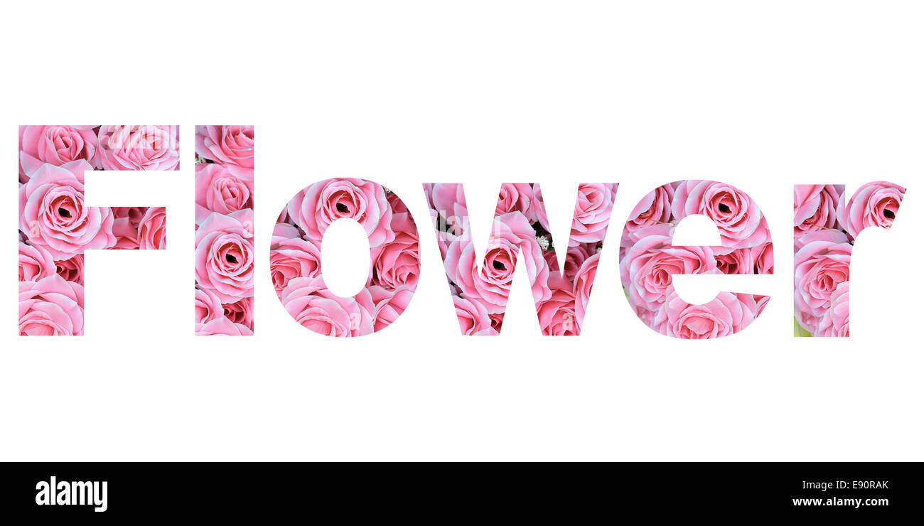 word flower on white background Stock Photo - Alamy