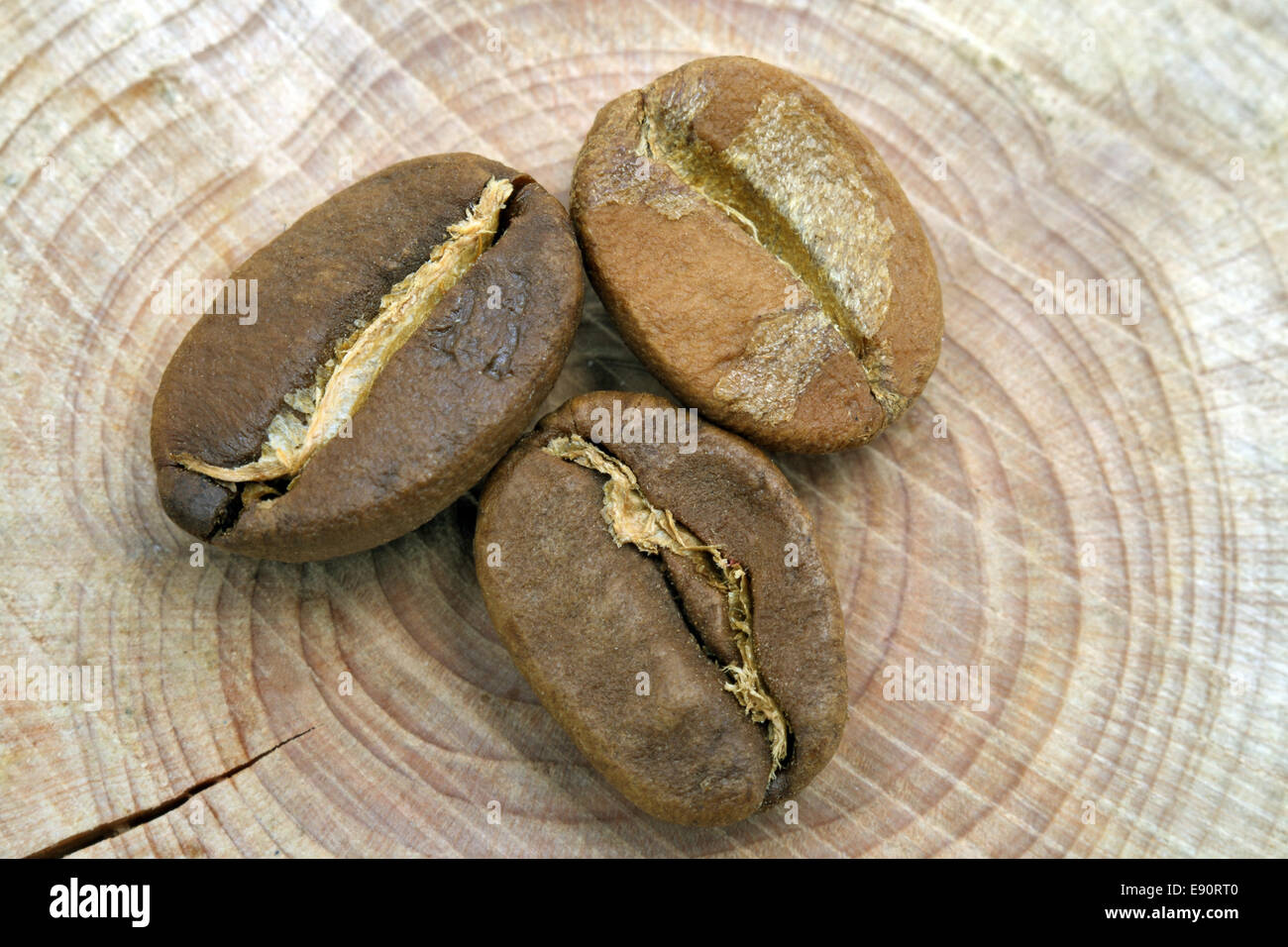 Roasted coffee beans at the cut juniper Stock Photo - Alamy