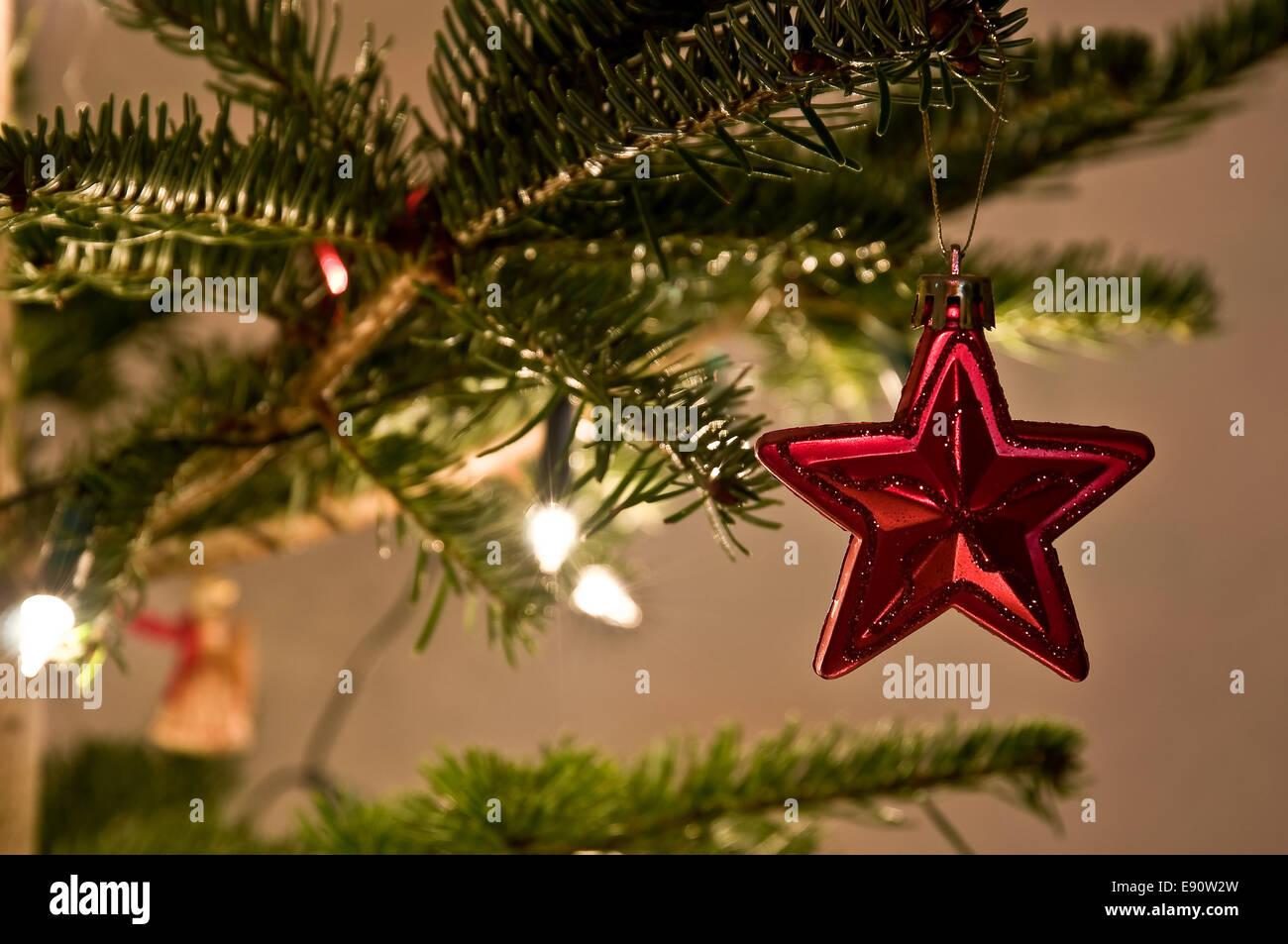 Star rot hi-res stock photography and images - Alamy