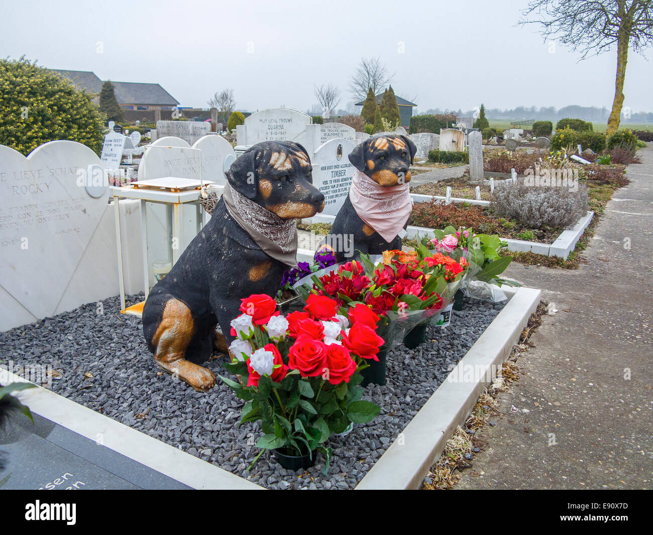 Dogs cemetery hi-res stock photography and images - Alamy