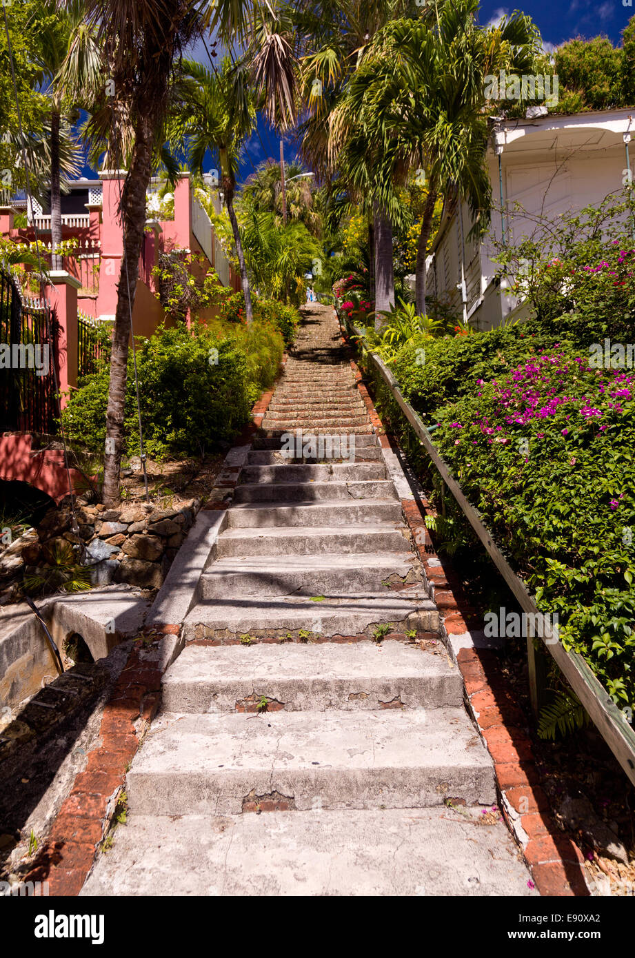 Steep 99 steps in St Thomas Stock Photo - Alamy
