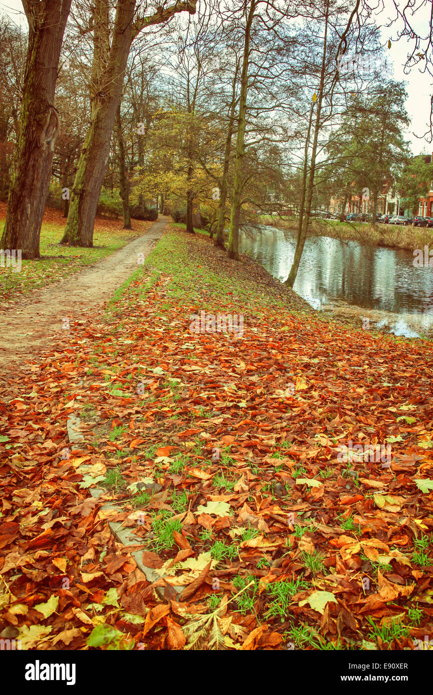 Beautiful fall park with leaves Stock Photo - Alamy