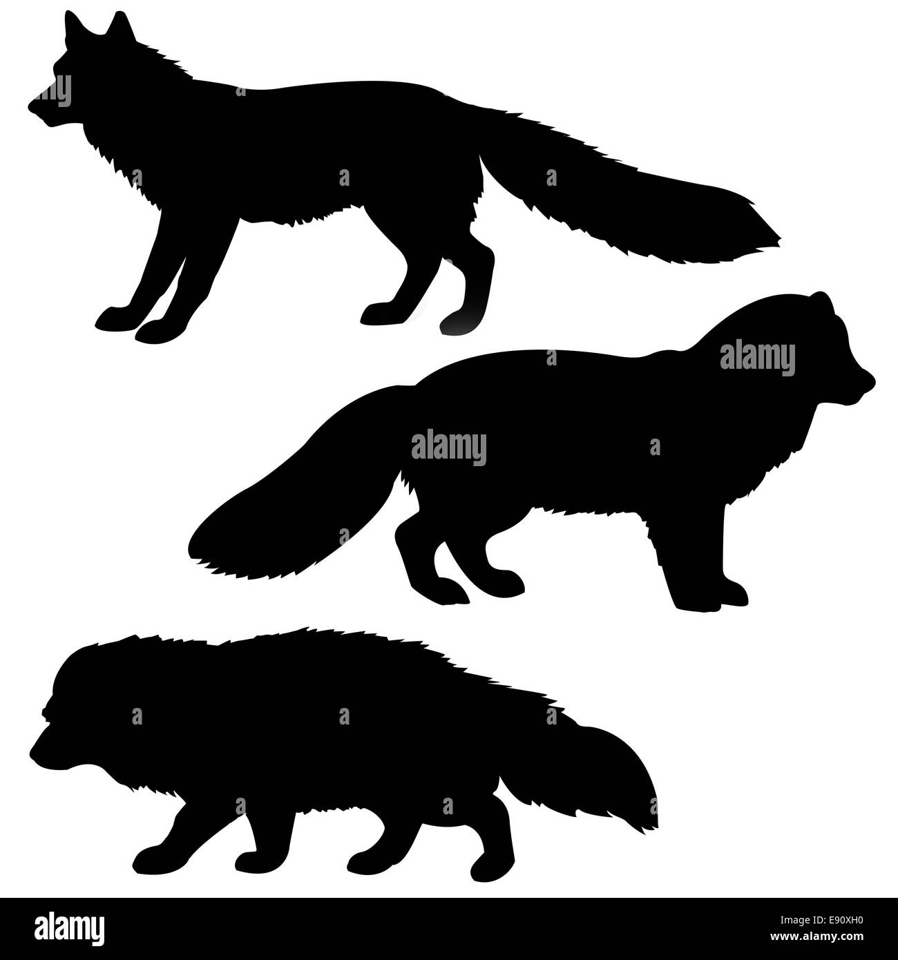 Arctic fox Cut Out Stock Images & Pictures - Alamy