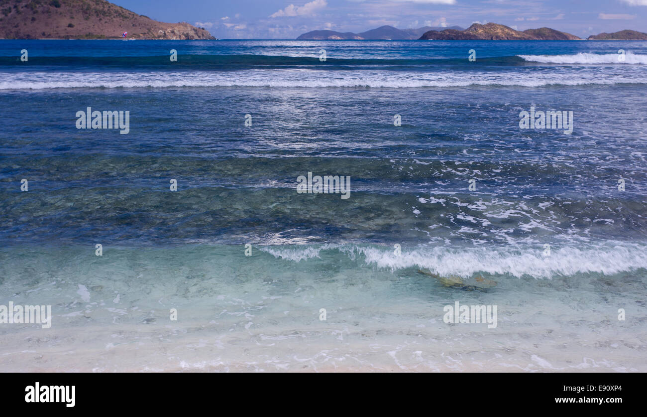 Lisa thomas hi-res stock photography and images - Alamy
