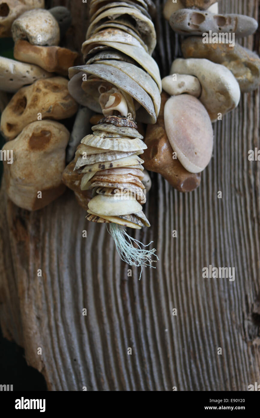 String of shells hi-res stock photography and images - Alamy
