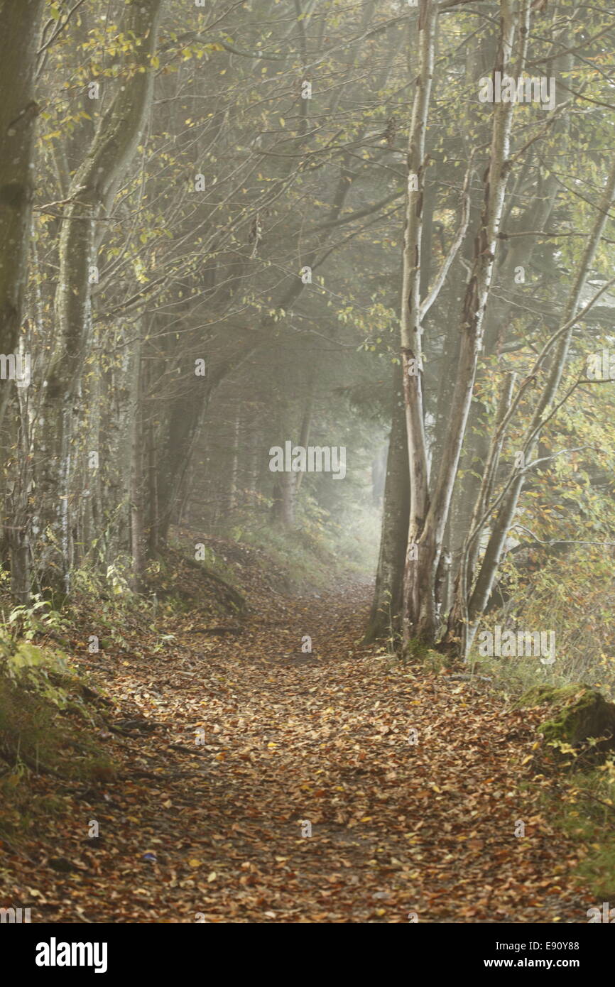 Beaten path hi-res stock photography and images - Alamy