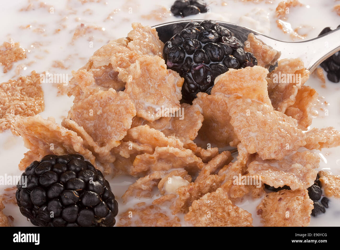 Cereals with blackberry Stock Photo - Alamy