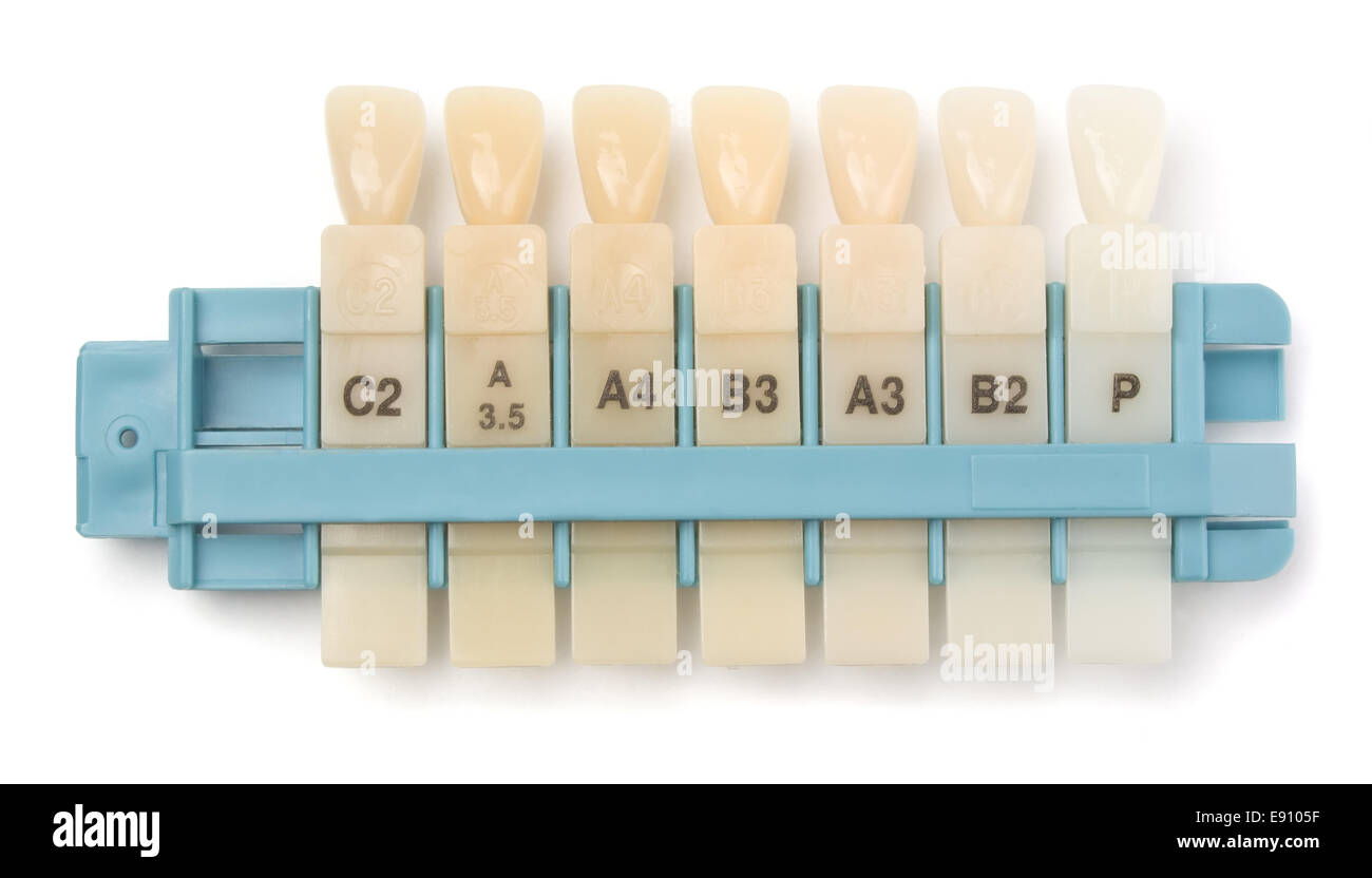 Dental teeth samples Stock Photo - Alamy