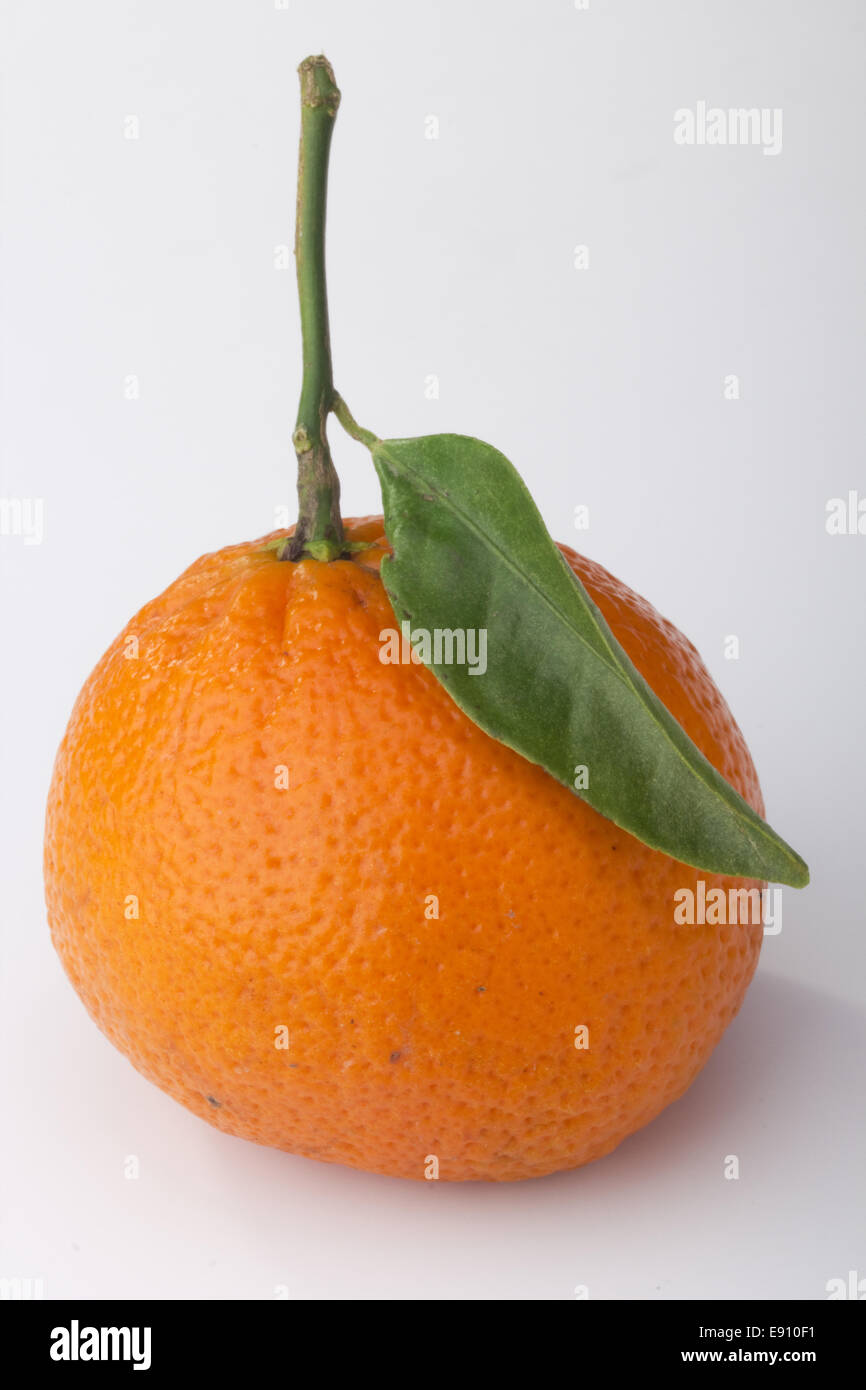 Orange and tangerine hi-res stock photography and images - Alamy