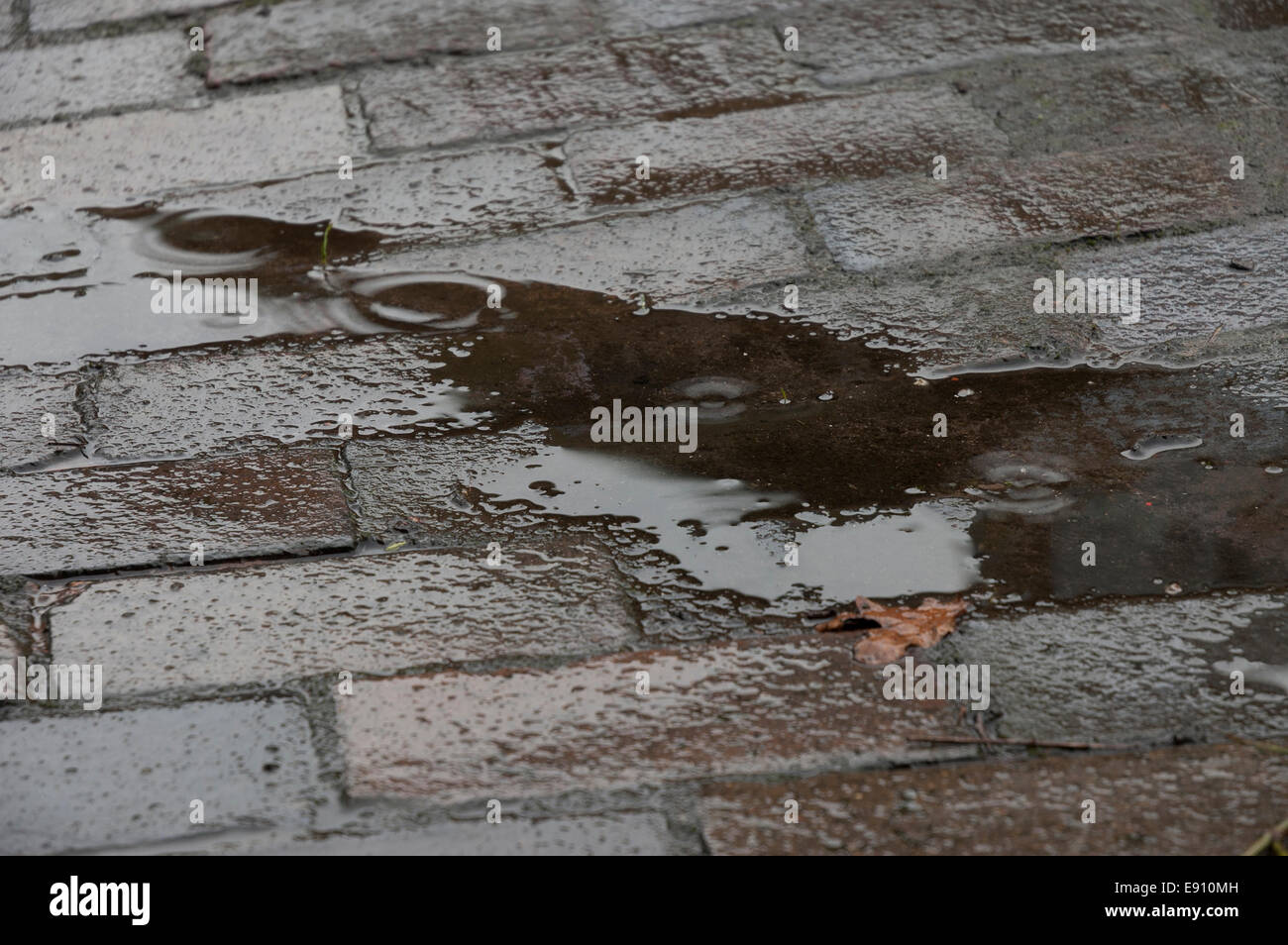 Puddle on the pavement in the rain Stock Photo - Alamy