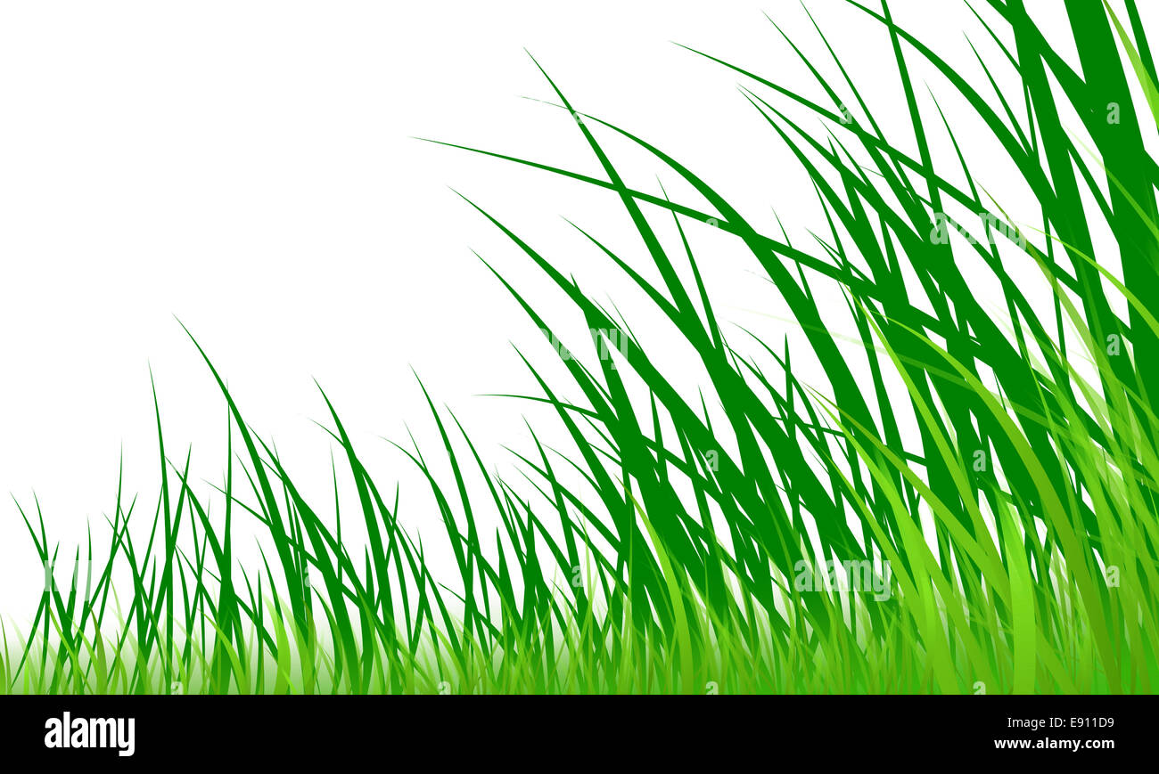 Natur muster hi-res stock photography and images - Alamy