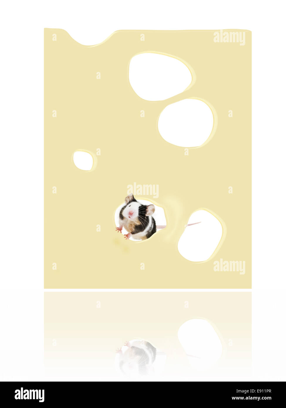 Mouse and cheese Stock Photo - Alamy