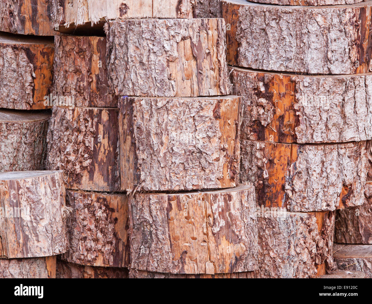 Chopped logs stacked for drying in a lumber yard Stock Photo - Alamy