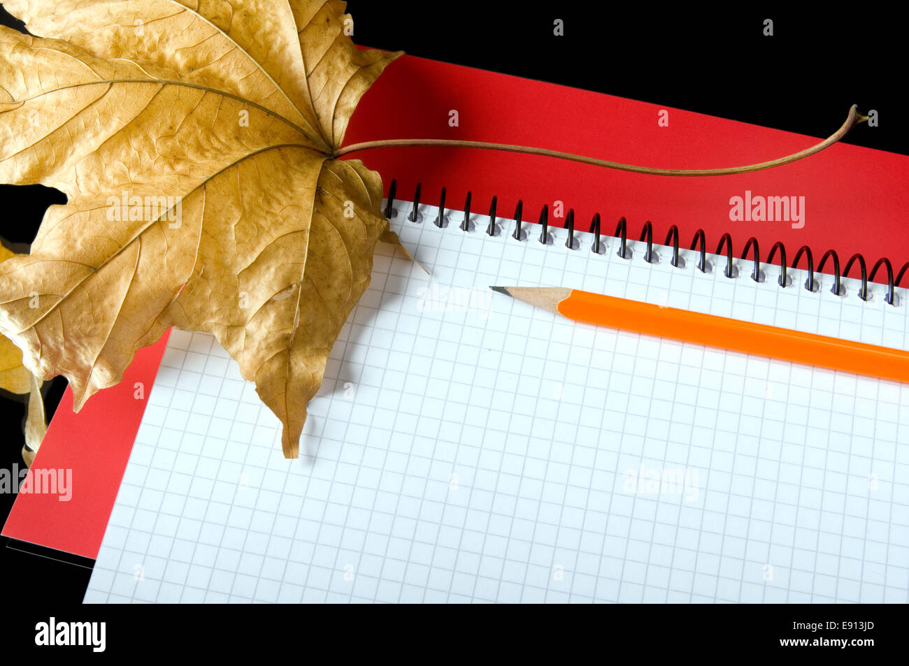 The writing subjects Stock Photo - Alamy