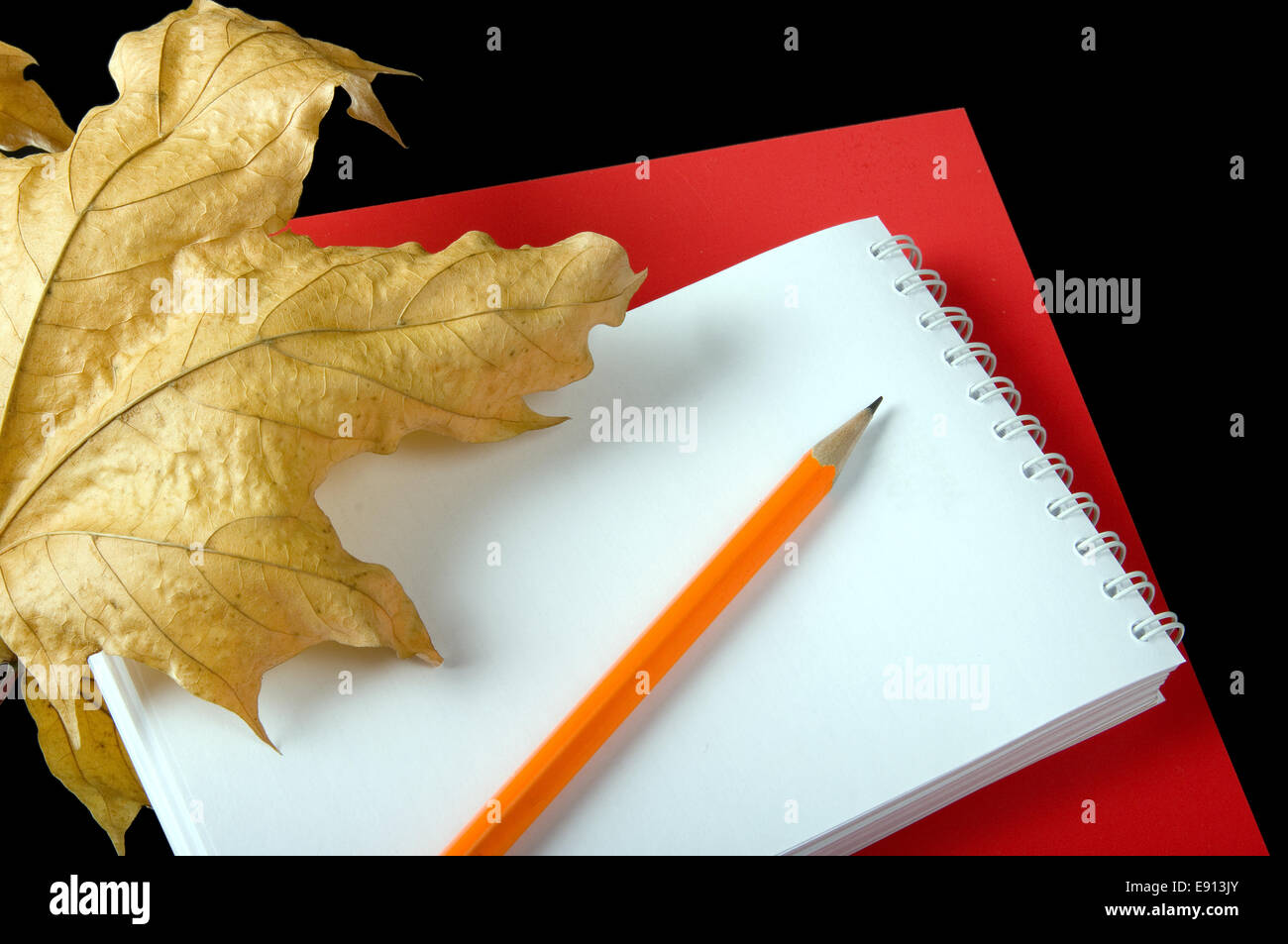 The writing subjects Stock Photo - Alamy