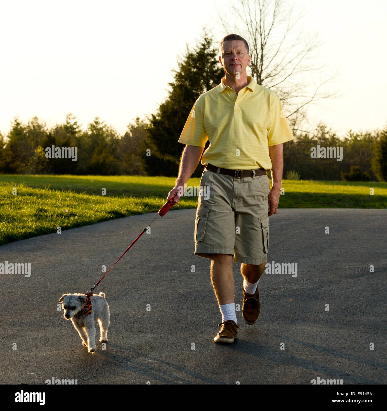 Active senior walking small dog Stock Photo - Alamy