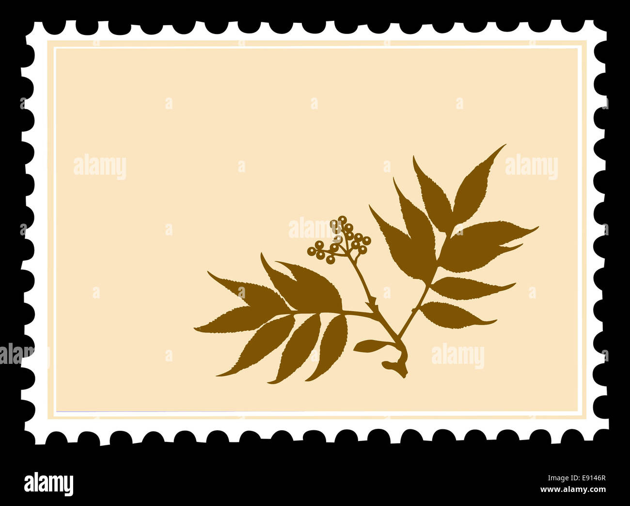 Black stamps hi-res stock photography and images - Alamy