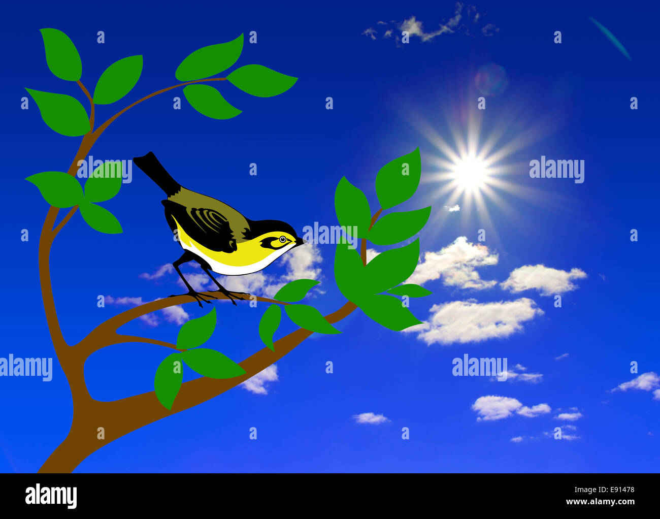 bird on tree Stock Photo - Alamy