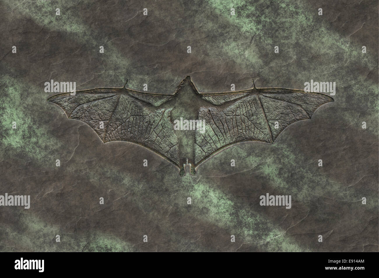 Bat texture hi-res stock photography and images - Alamy
