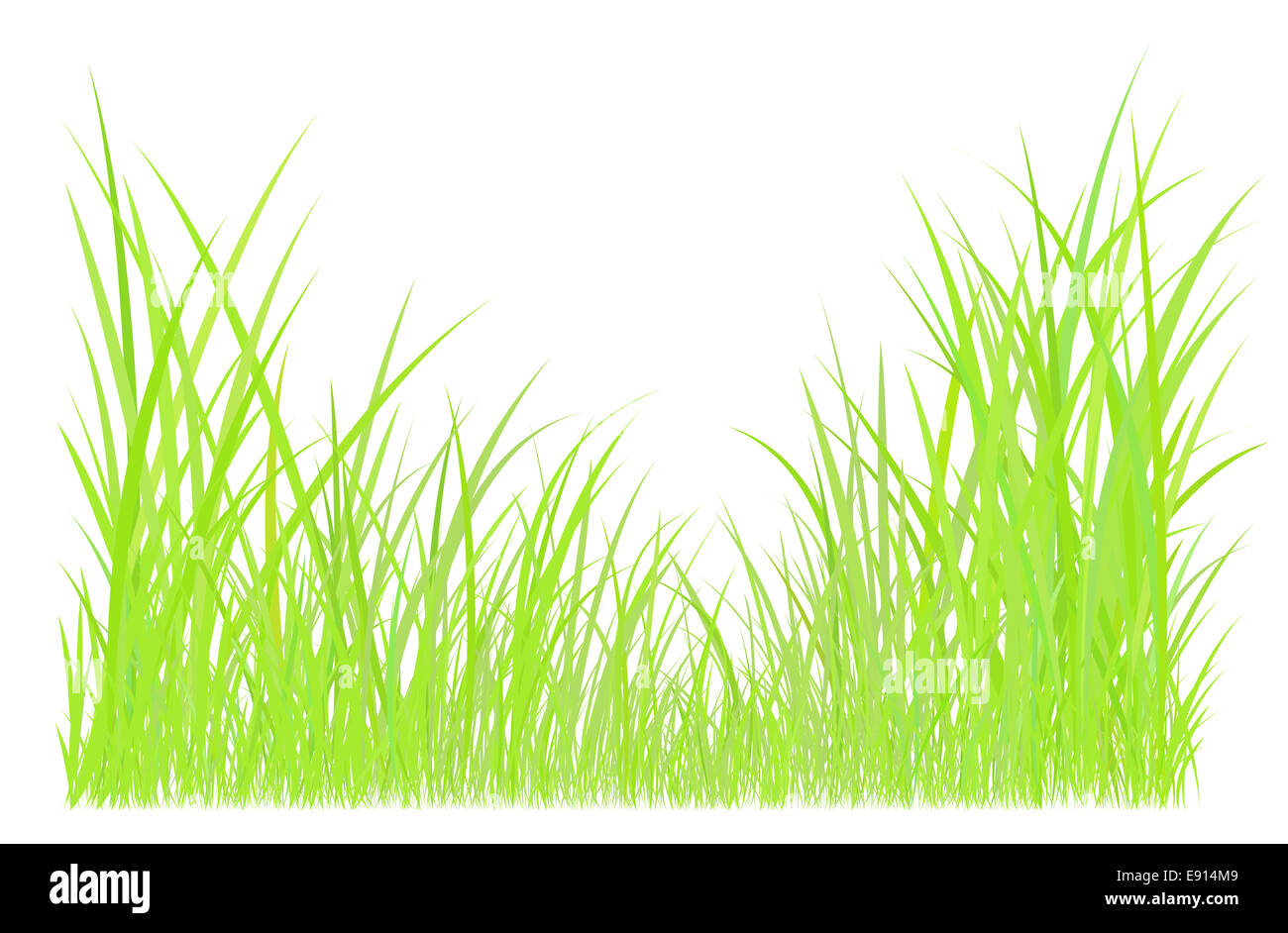 Grass graphic Cut Out Stock Images & Pictures - Alamy