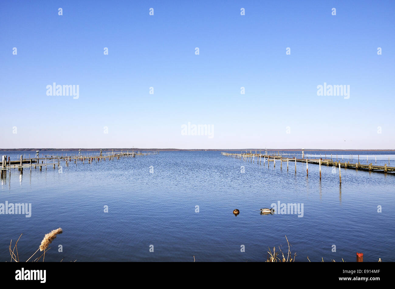 Water levy hi-res stock photography and images - Alamy