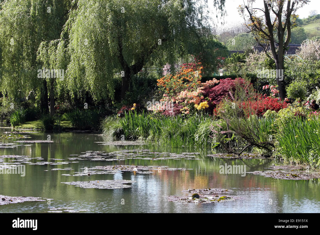 Reflections of spring hi-res stock photography and images - Alamy