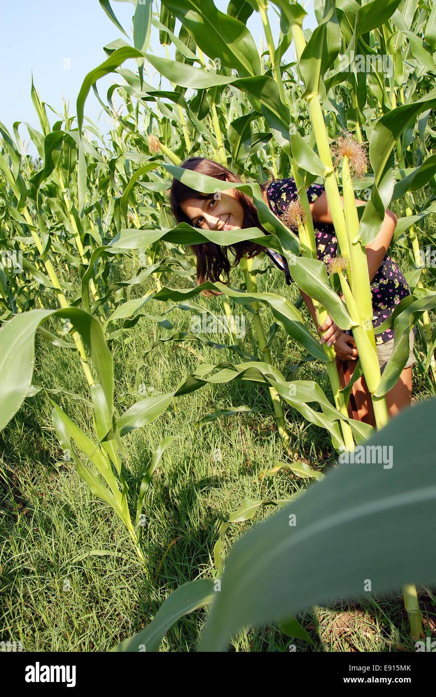 Teenage girl portrait on corn field Stock Photo - Alamy