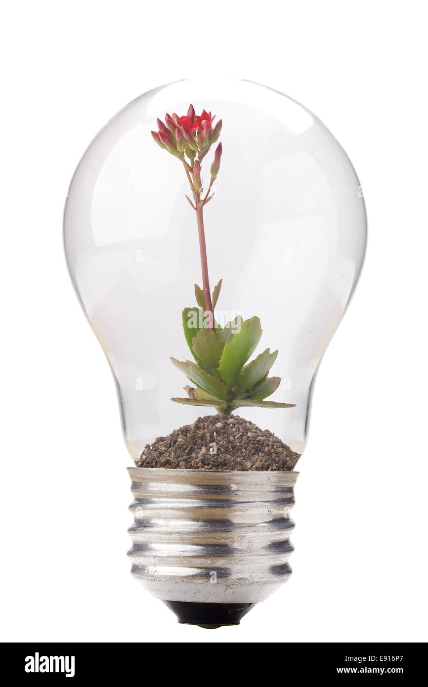 Environment protection hi-res stock photography and images - Alamy