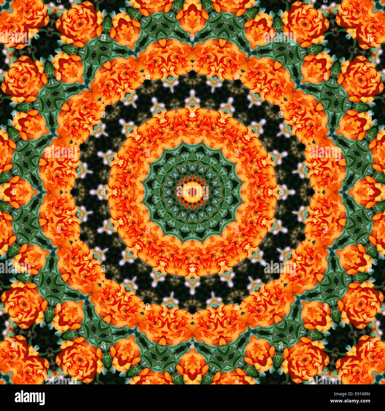 Mandalas roses hi-res stock photography and images - Alamy
