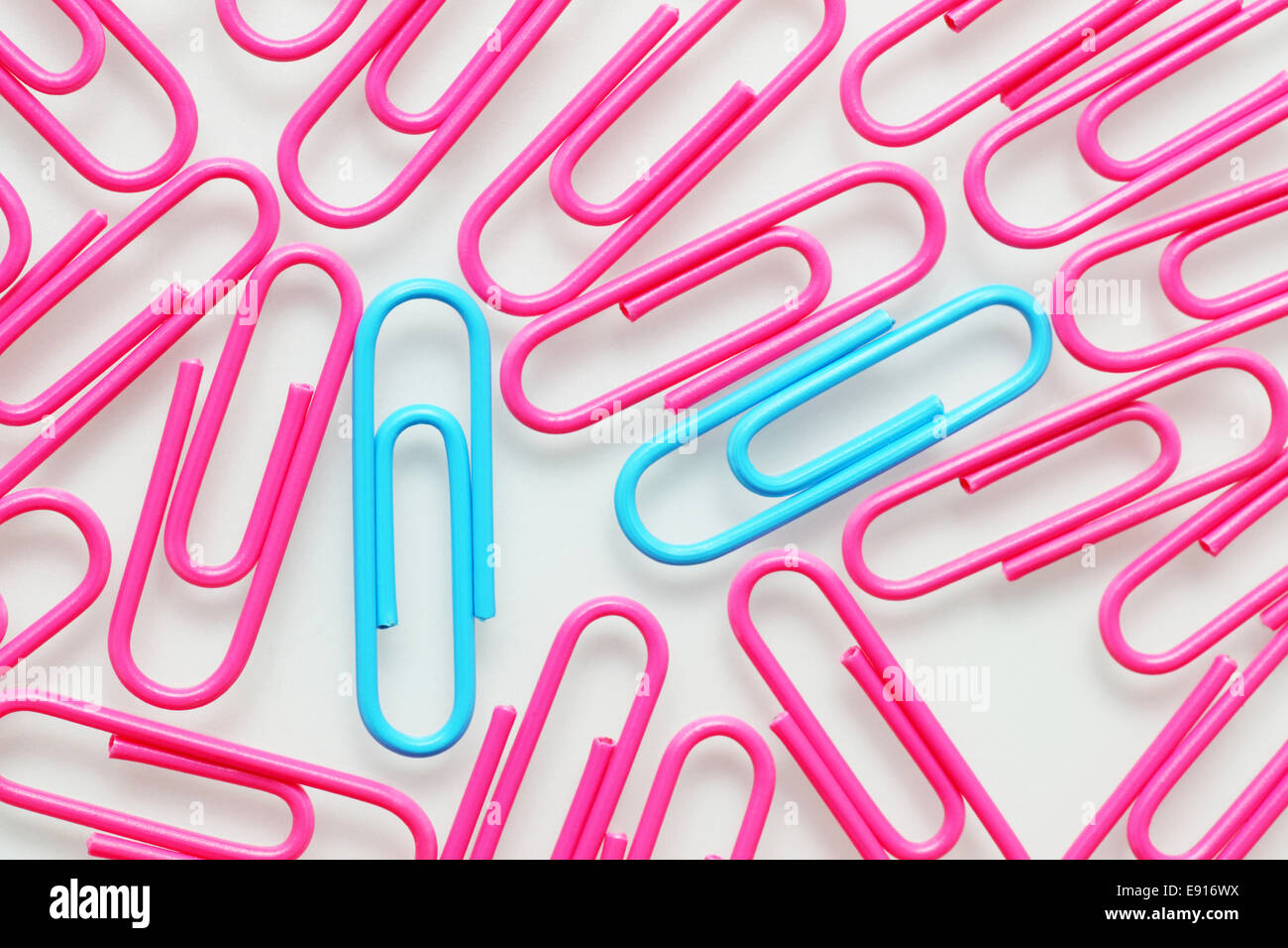 Paper Clips pink blue Stock Photo - Alamy