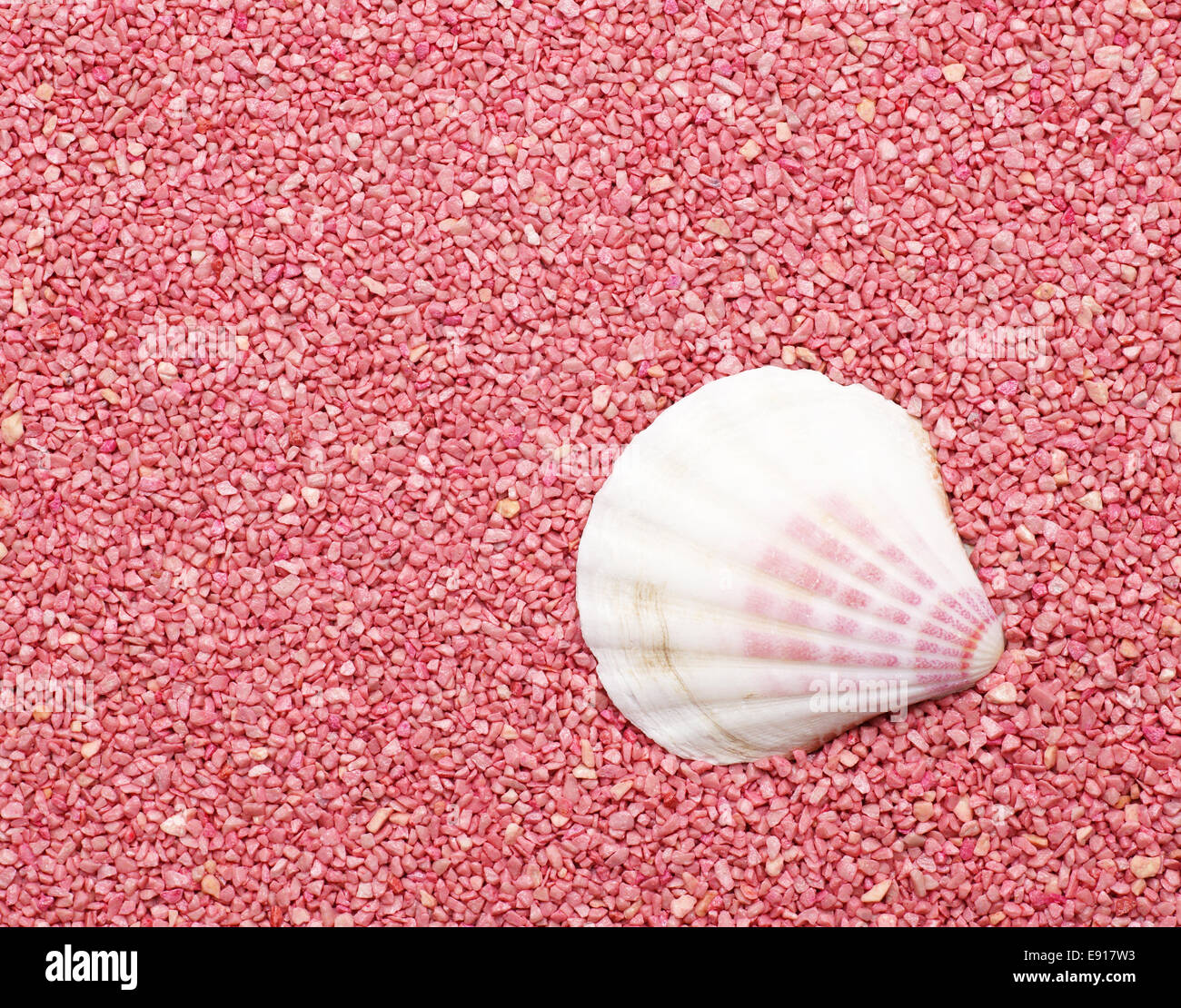 Buddha with shell hi-res stock photography and images - Alamy