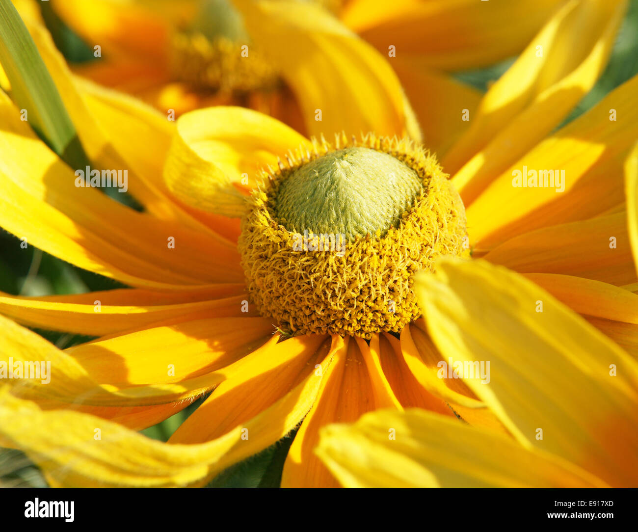 Solarenergie balkon hi-res stock photography and images - Alamy