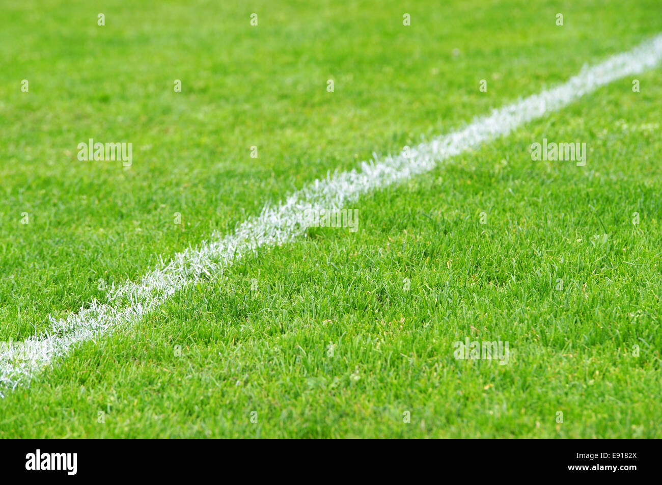 Soccer pitch detail hi-res stock photography and images - Alamy