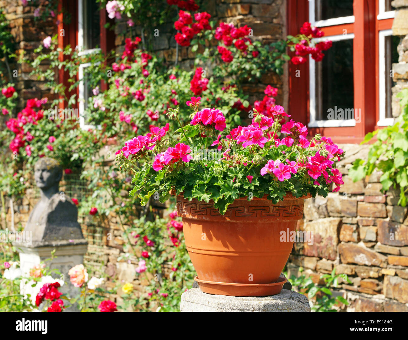 Summer Garden with Flowers Stock Photo - Alamy