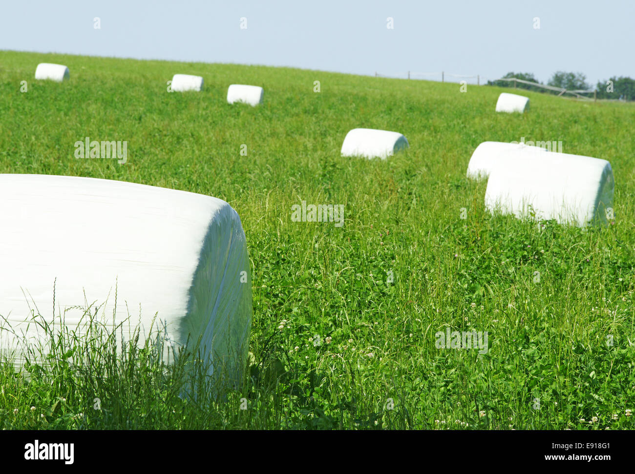 Meadow with Hay Stock Photo - Alamy