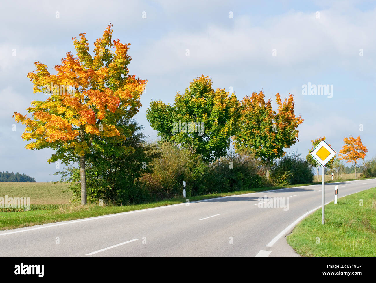 Auto autumn street hi-res stock photography and images - Alamy