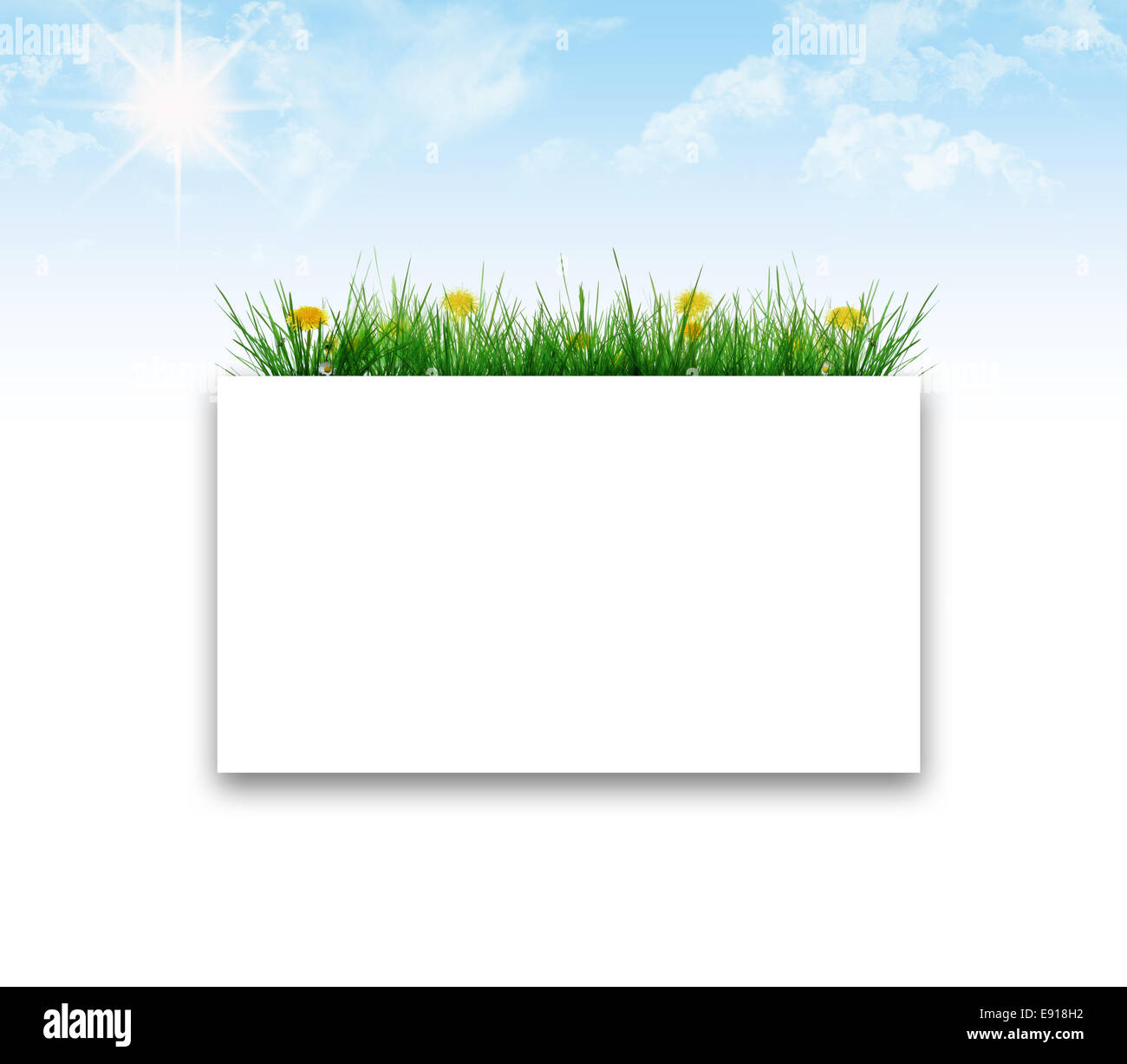 Green grass fresh air Cut Out Stock Images & Pictures - Alamy