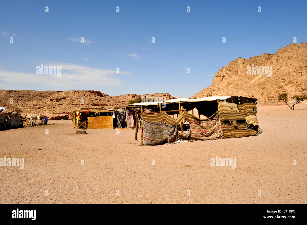 Bedouin Arab camp in desert of south Sinai Peninsula between Dahab and ...