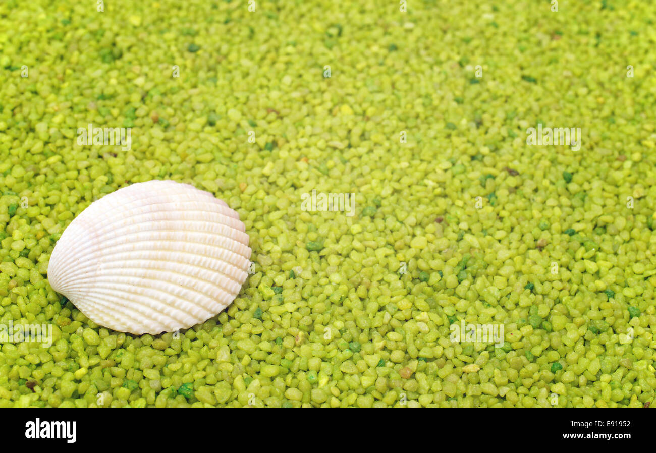 Shell on green Stones - Wellness Stock Photo - Alamy