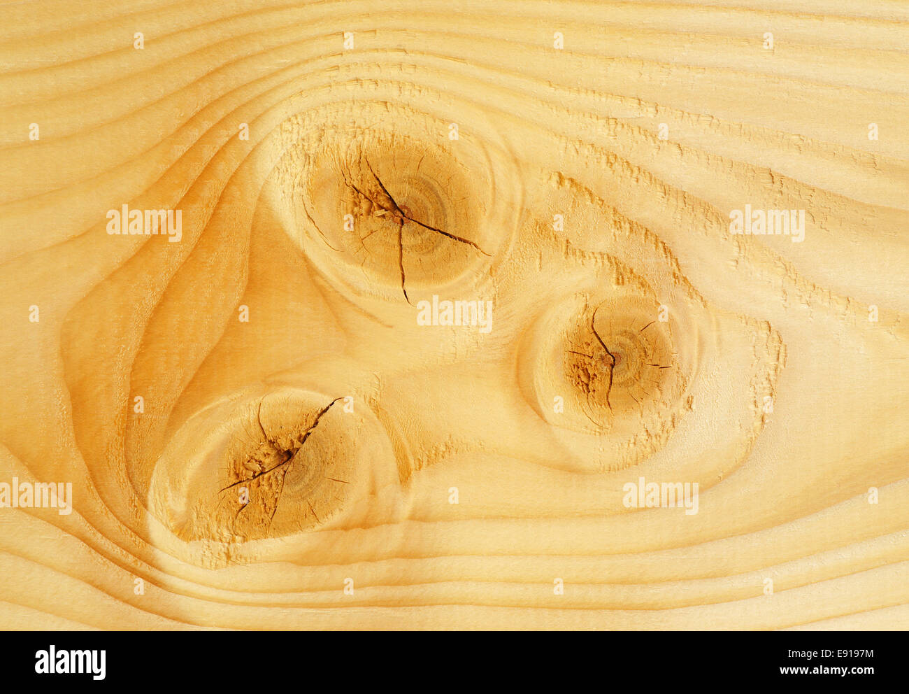 Timber Wood close-up Stock Photo - Alamy