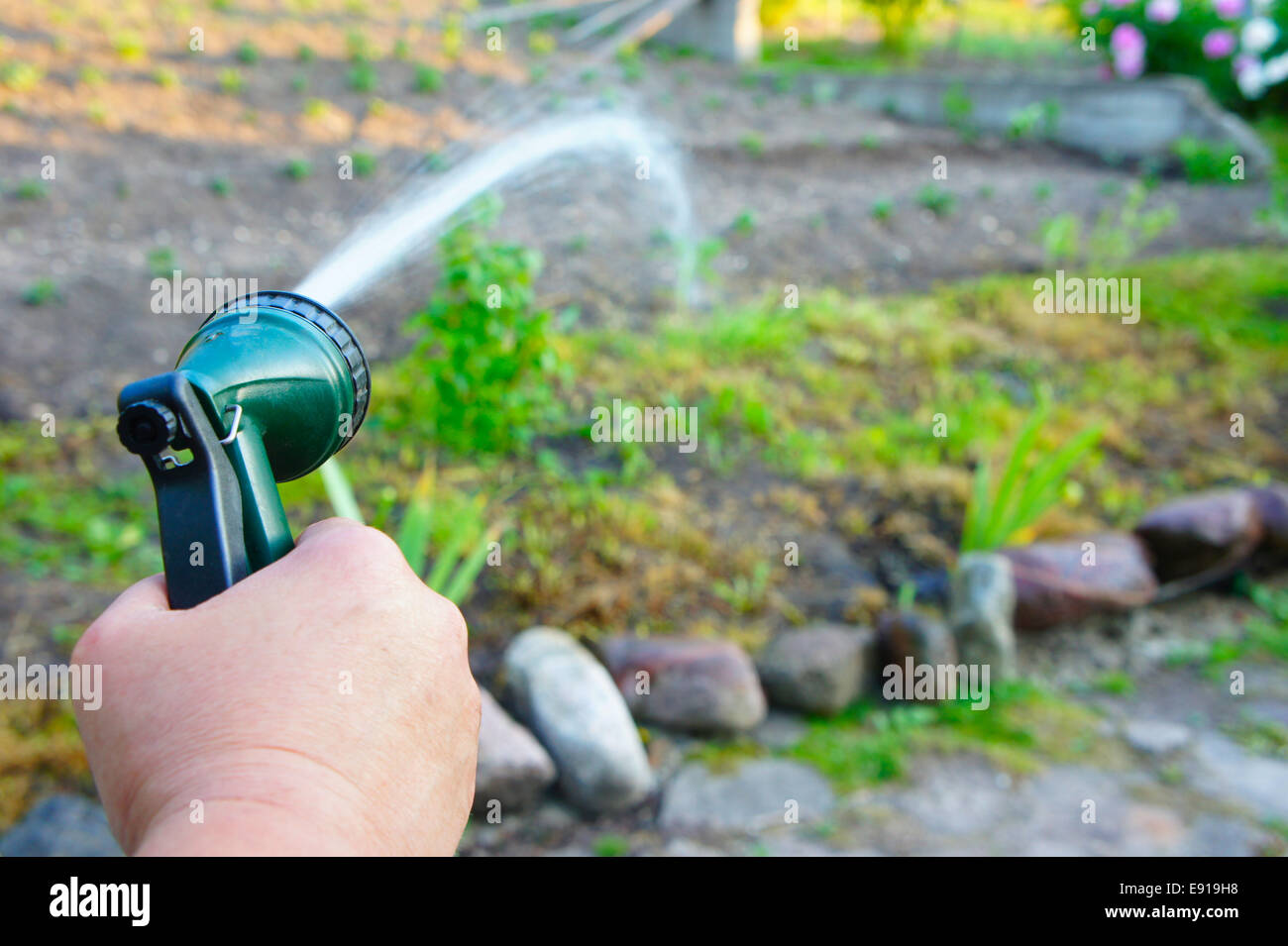 Watering plant spout water hi-res stock photography and images - Alamy