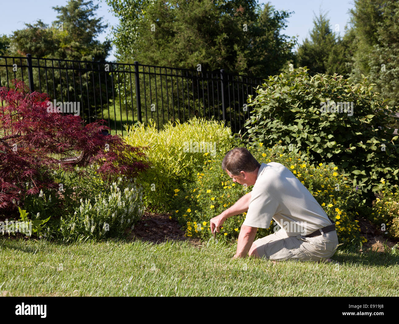 Senior man digging in garden Stock Photo - Alamy