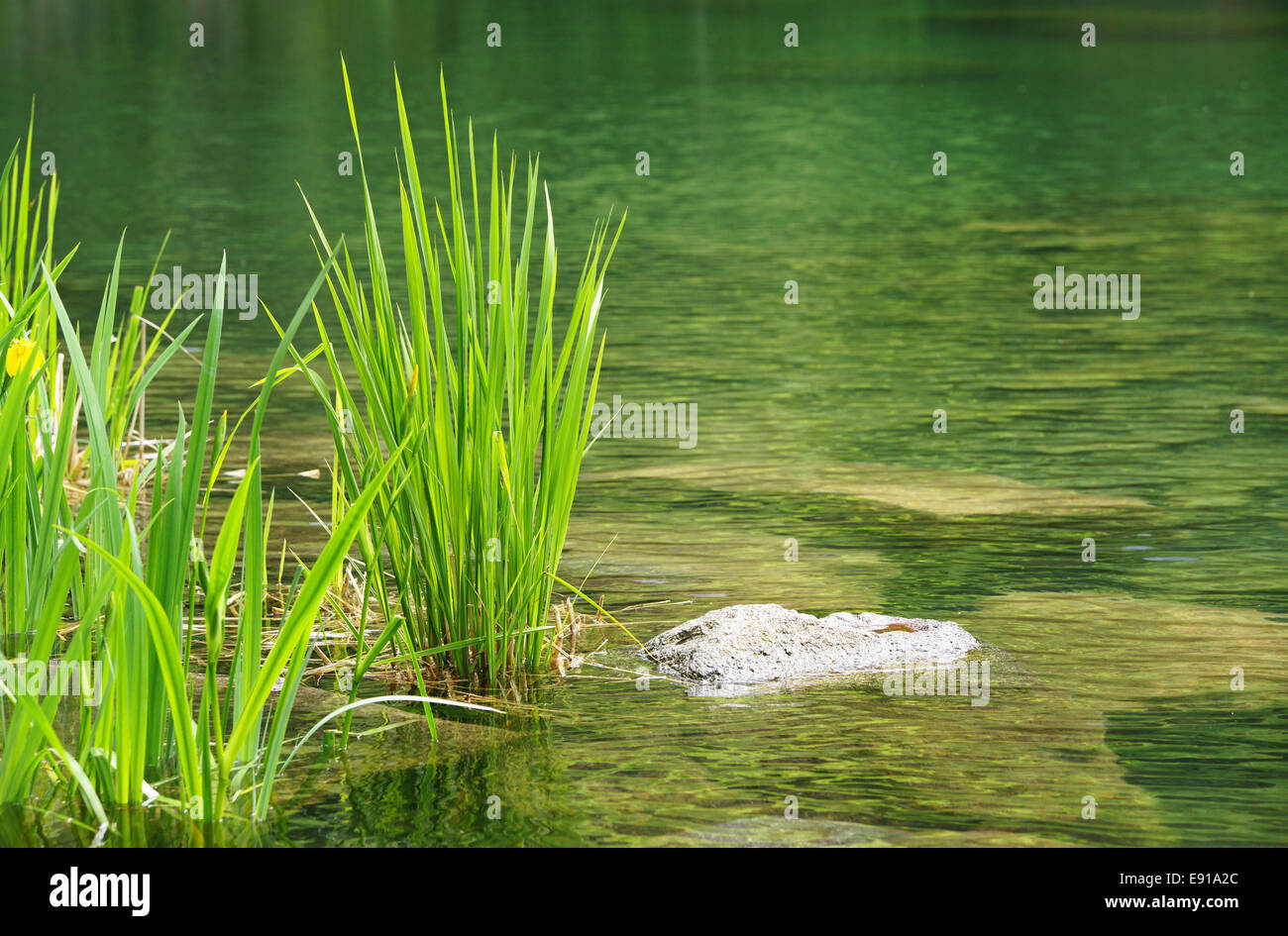 Wellness at the Lake Stock Photo - Alamy