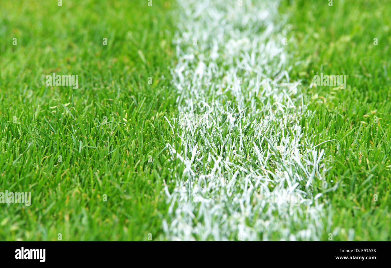 Soccer pitch detail hi-res stock photography and images - Alamy